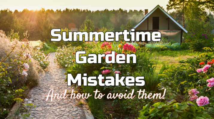 The 5 Most Common Summer Landscape And Garden Mistakes