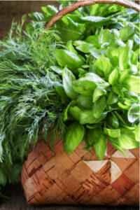 6 Essential Herbs To Grow For A Flavor-Filled Kitchen Herb Garden