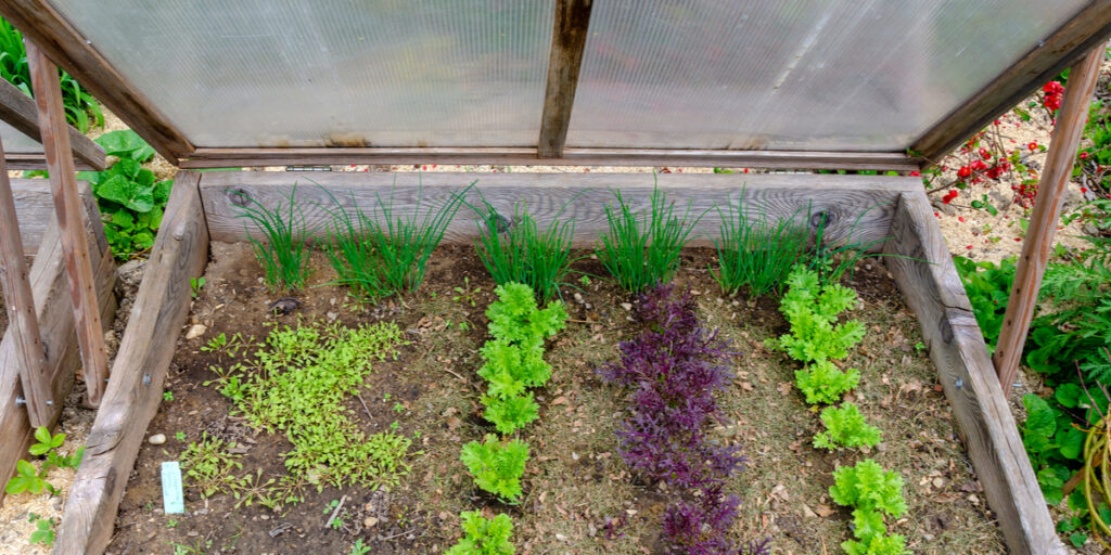 simple cold frame design Archives - This Is My Garden