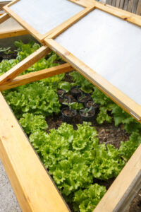 How To Create A Simple Cold Frame To Extend Your Growing Season!