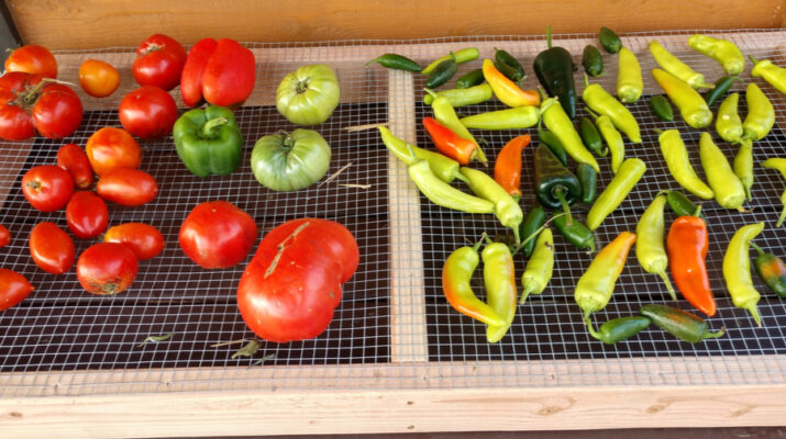 How To Build A DIY Harvest Rack To Ripen Fruits & Vegetables