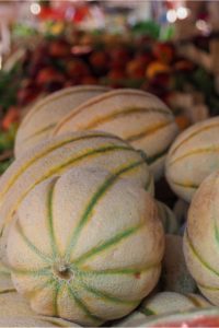 How To Know When Melons Are Ripe - 3 Great Signs It's Time To Pick!