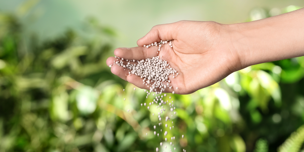 Why NOT To Fertilize Perennial Plants In The Fall 
