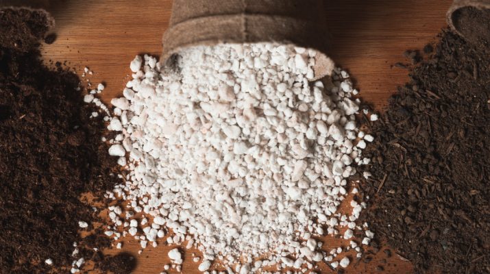 How To Create The Best Organic Potting Soil For Vegetables