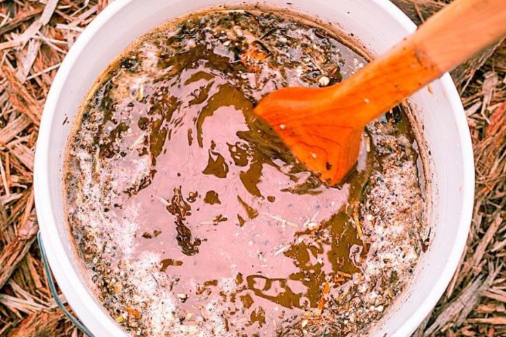 Composting - This Is My Garden