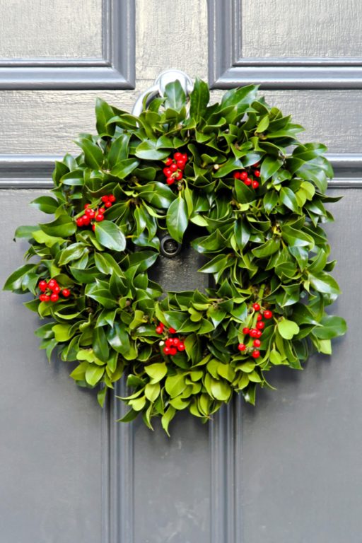 How To Grow Holly Bushes - Add Evergreen Beauty To Your Landscape!