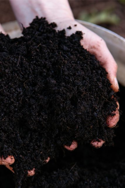 How To Make Homemade Seed Starting Soil - Create Perfect Soil!
