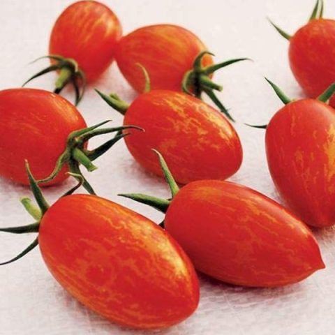 The Best Tomatoes To Grow On A Patio! 5 Great Tomatoes For Containers