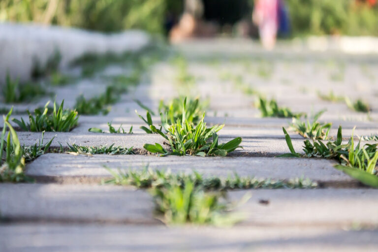 How To Kill Weeds In Driveways & Sidewalks - Without Chemicals