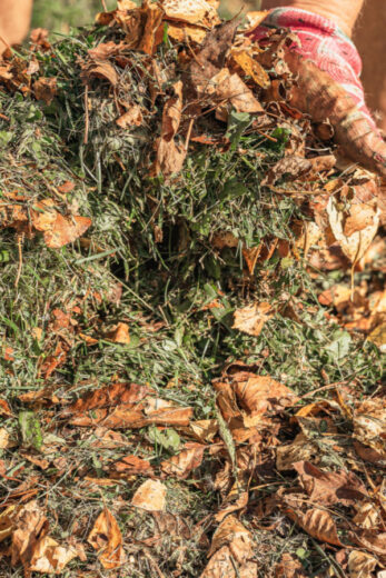 How To Compost Used Potting Soil - Reuse Your Soil Next Year!