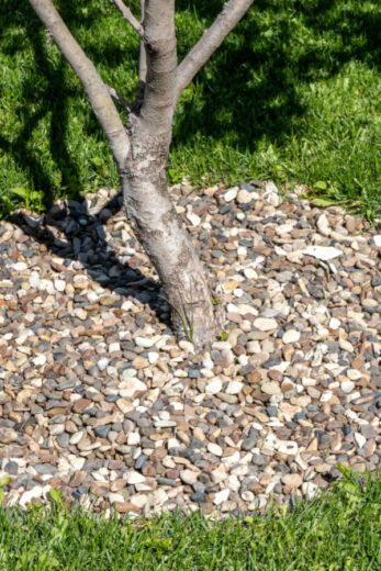 How To Use Stone As A Mulch - Where To Use It & Where Not To!