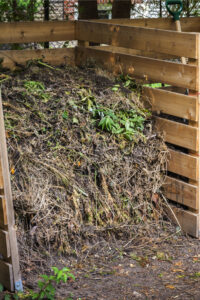 How To Use Pine Needles In A Vegetable Garden!