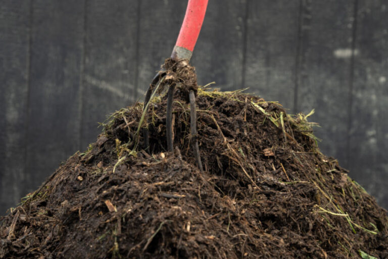 How To Use Animal Manure In A Garden - Safely & Easily!