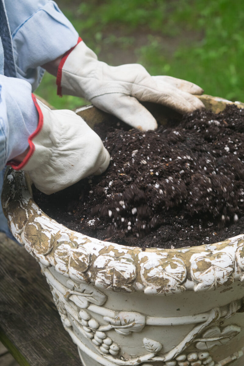 Planting Flowers In Pots - 3 Simple Secrets For Big Blooms All Year