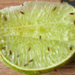 Pest Control Tips - This Is My Garden