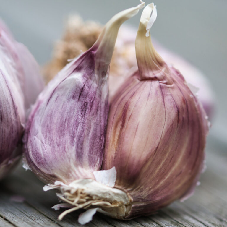 Planting Fall Garlic - 6 Simple Secrets To Grow Great Garlic!