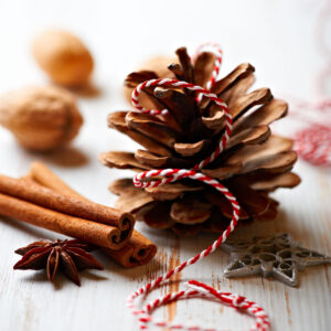 How To Make Scented Pine Cones - 10 Great Homemade Scents!
