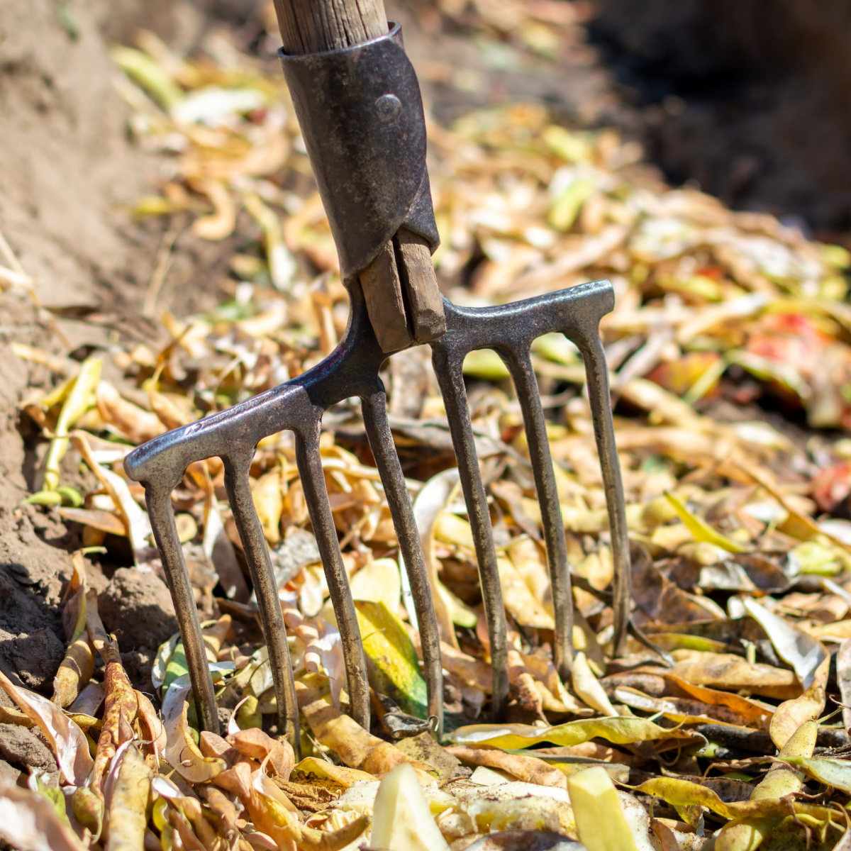 How To Trench Compost In Winter - Composting Without A Pile!