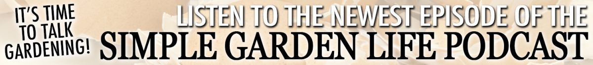 Fall Hydrangea Care - What To Do With Hydrangeas Before Winter!