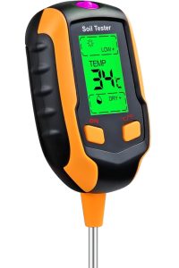 How To Plant A Wildflower Patch In The Spring - With Ease!