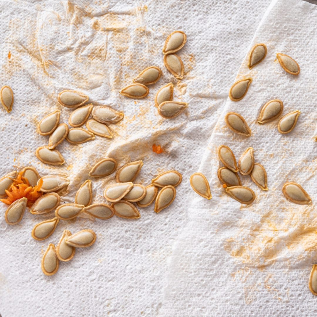How To Save Seeds From Vegetable Plants - 3 Secrets To Success
