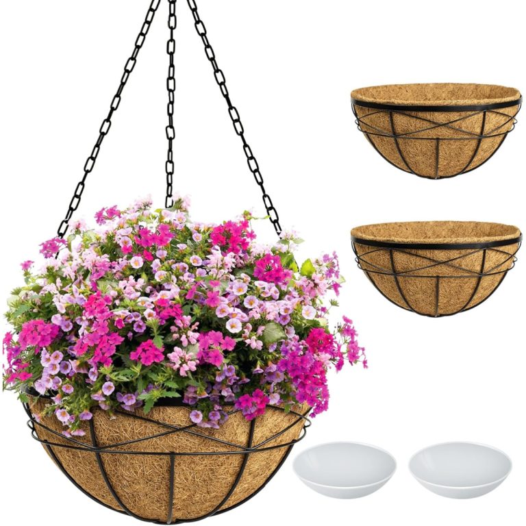 How To Grow Hanging Baskets From Seed - Grow Big For Less!
