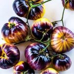 4 Unusual Tomato Plants To Grow - Add Big Color, Interest & Flavor
