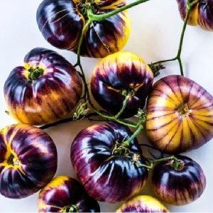 4 Unusual Tomato Plants To Grow - Add Big Color, Interest & Flavor