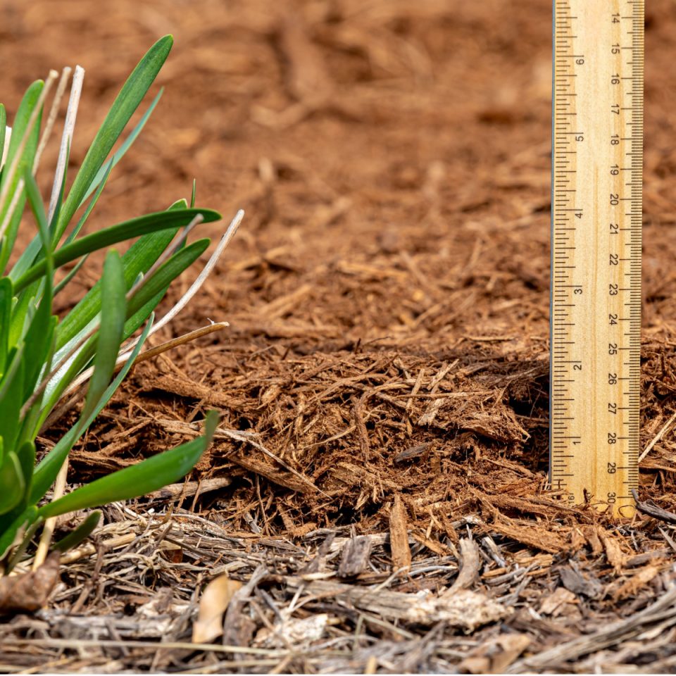 3 Simple Tips To Keep Flowerbeds Weed Free - Without Spraying!
