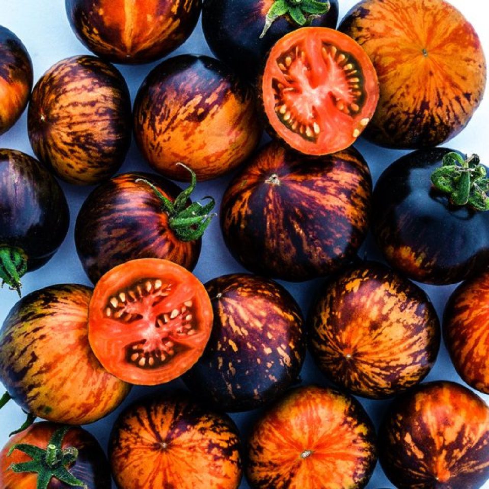 4 Unusual Tomato Plants To Grow - Add Big Color, Interest & Flavor