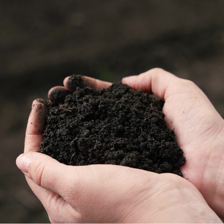 How To Reuse Last Year’s Potting Soil - And Make It Even Better!