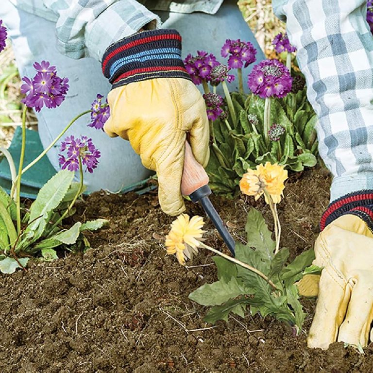 The 3 Most Common Mulching Mistakes - And How To Avoid Them!