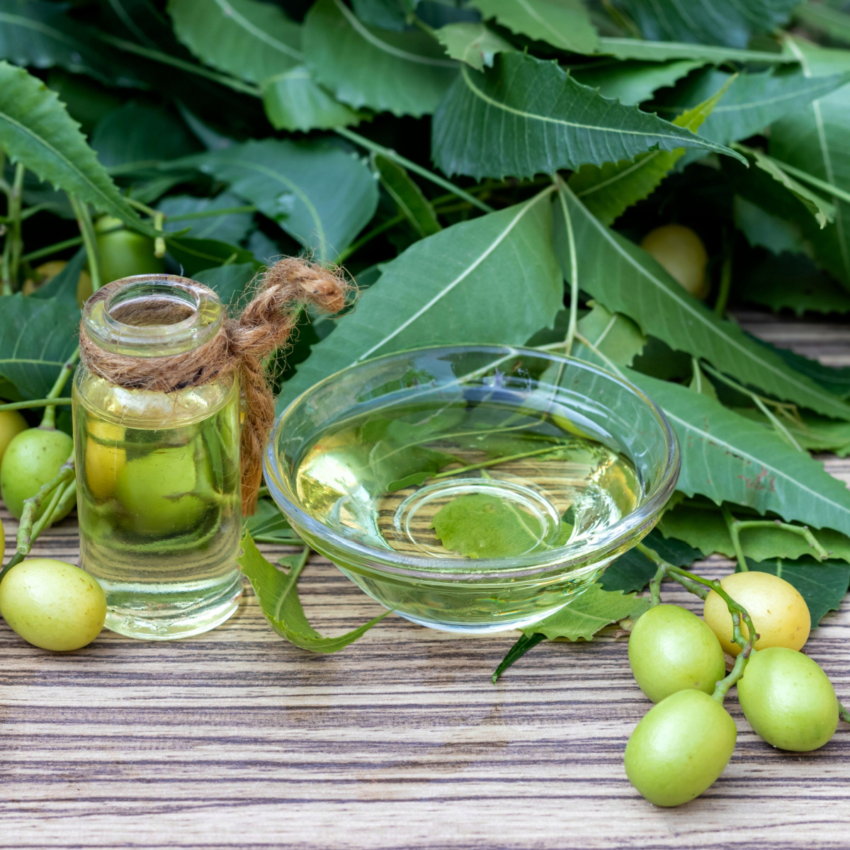 The Best Way To Get Rid Of Ticks In Your Backyard - With Ease!