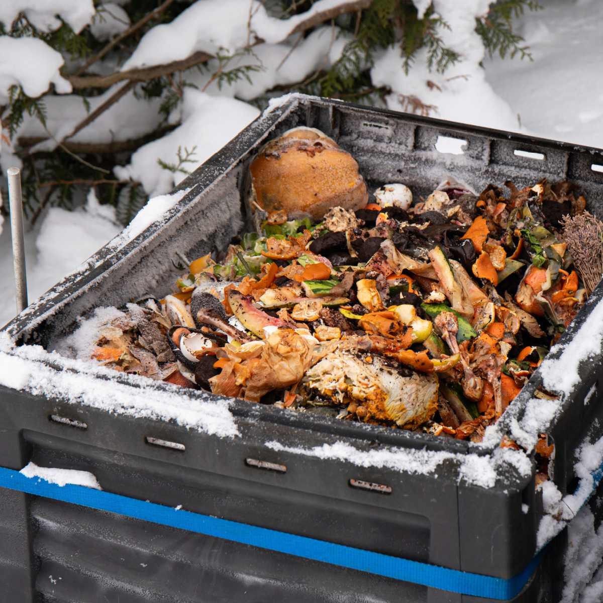 3 Simple Ways To Keep A Compost Pile Going In The Winter!