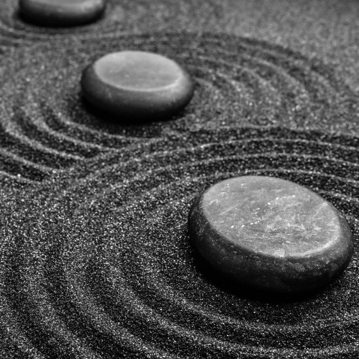 How To Create A Japanese Rake Garden In Your Backyard