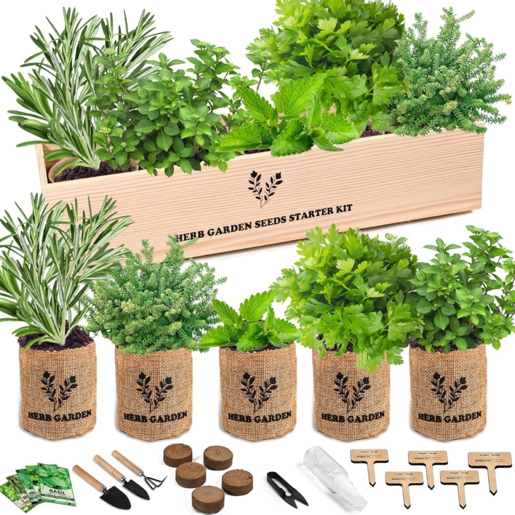 The 5 Best Herbs To Grow Indoors For Winter Cooking